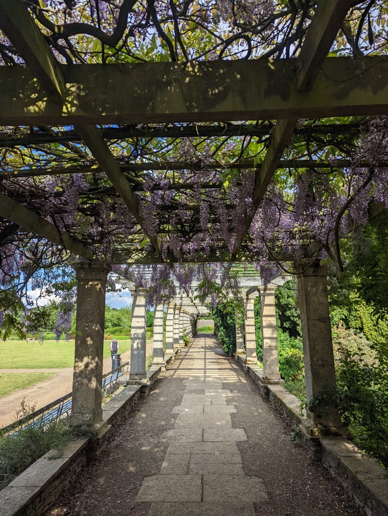 The Best of Norwich’s Parks – The Norfolk Explorer
